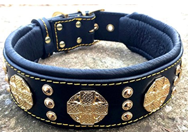 5 Best Collars for Large Breed Dogs - (No Wimpy Stuff Here) - Sporty ...
