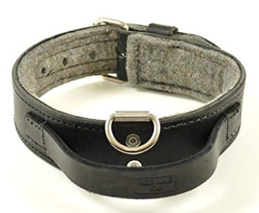 5 Best Collars for Large Breed Dogs - (No Wimpy Stuff Here) - Sporty ...