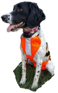 Dog Skid Plate Chest Protectors - 6 Best Protective Vests - Sporty Dog ...